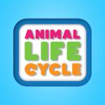 Animal Life Cycle - What is the exact life cycle?