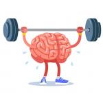 Brain Master - Lessons on brain training