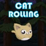 Rolling Cat - Help the cat reach the final door