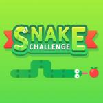 Snake Challenge - Become the biggest snake